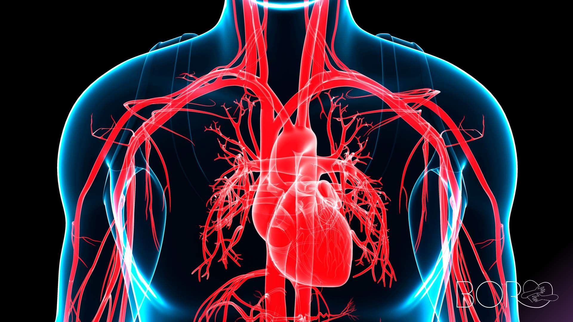 Πώς δημιουργείται η πλάκα μέσα στις αρτηρίες που εμποδίζει την ροή του ...